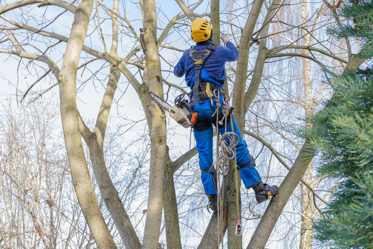 How to Increase the Curb Appeal and Value of Your Home