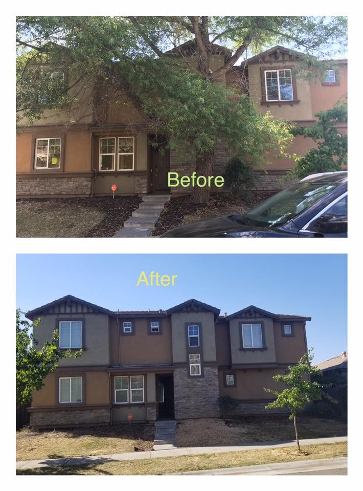 Gallery | All Green Tree Service