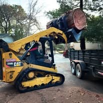 Gallery | All Green Tree Service